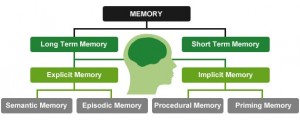 Everything About Short Term Memory & Long Term Memory